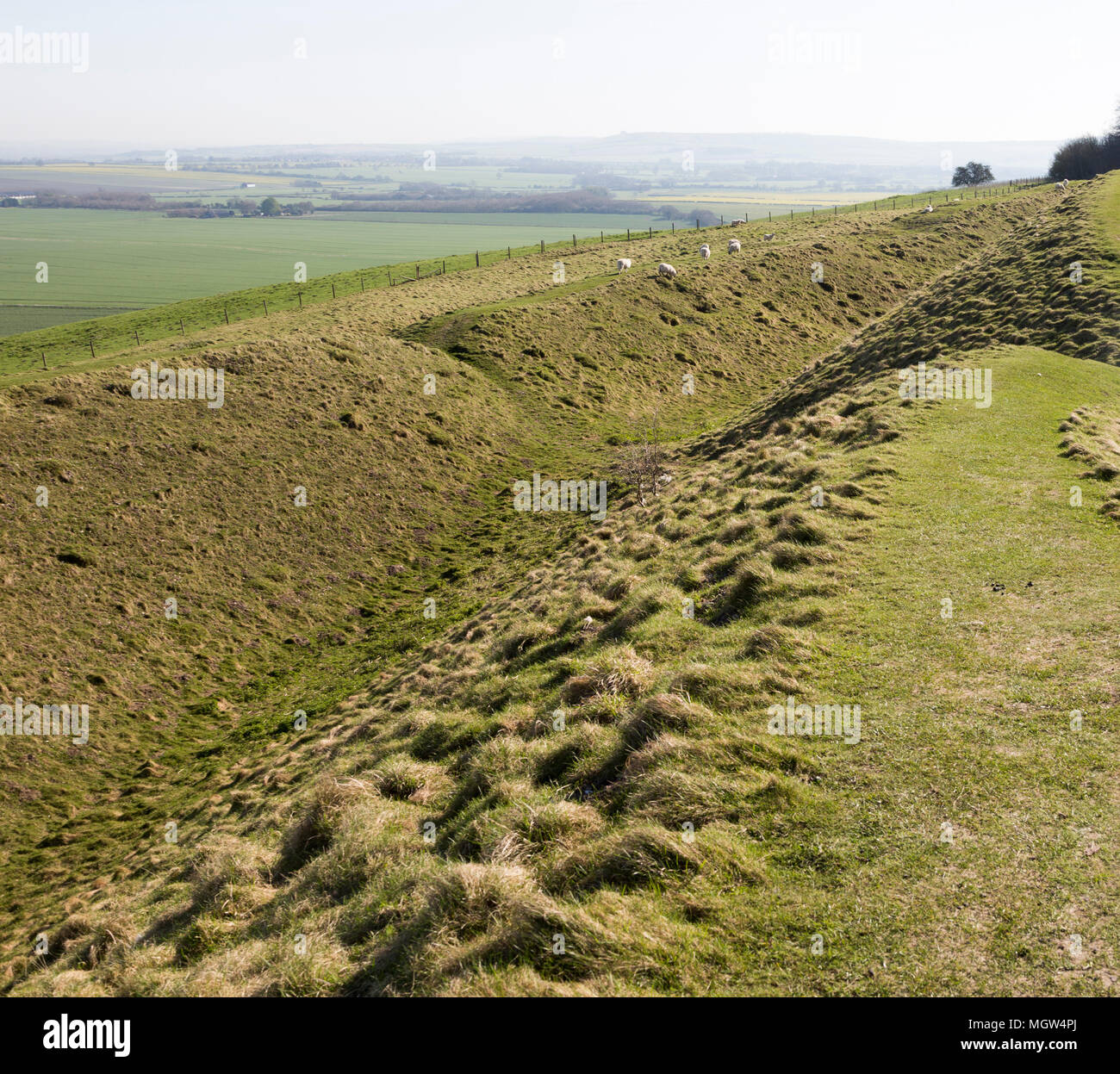 Defensive ditch and rampart at Barbury Castle Country Park, Iron Age ...