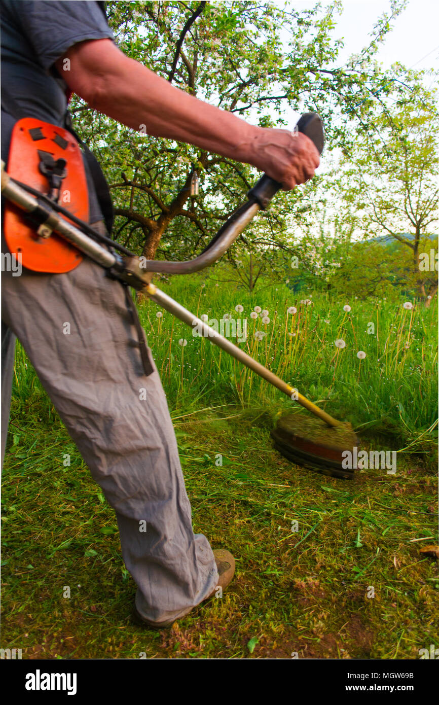 Grass trimmers hi-res stock photography and images - Alamy