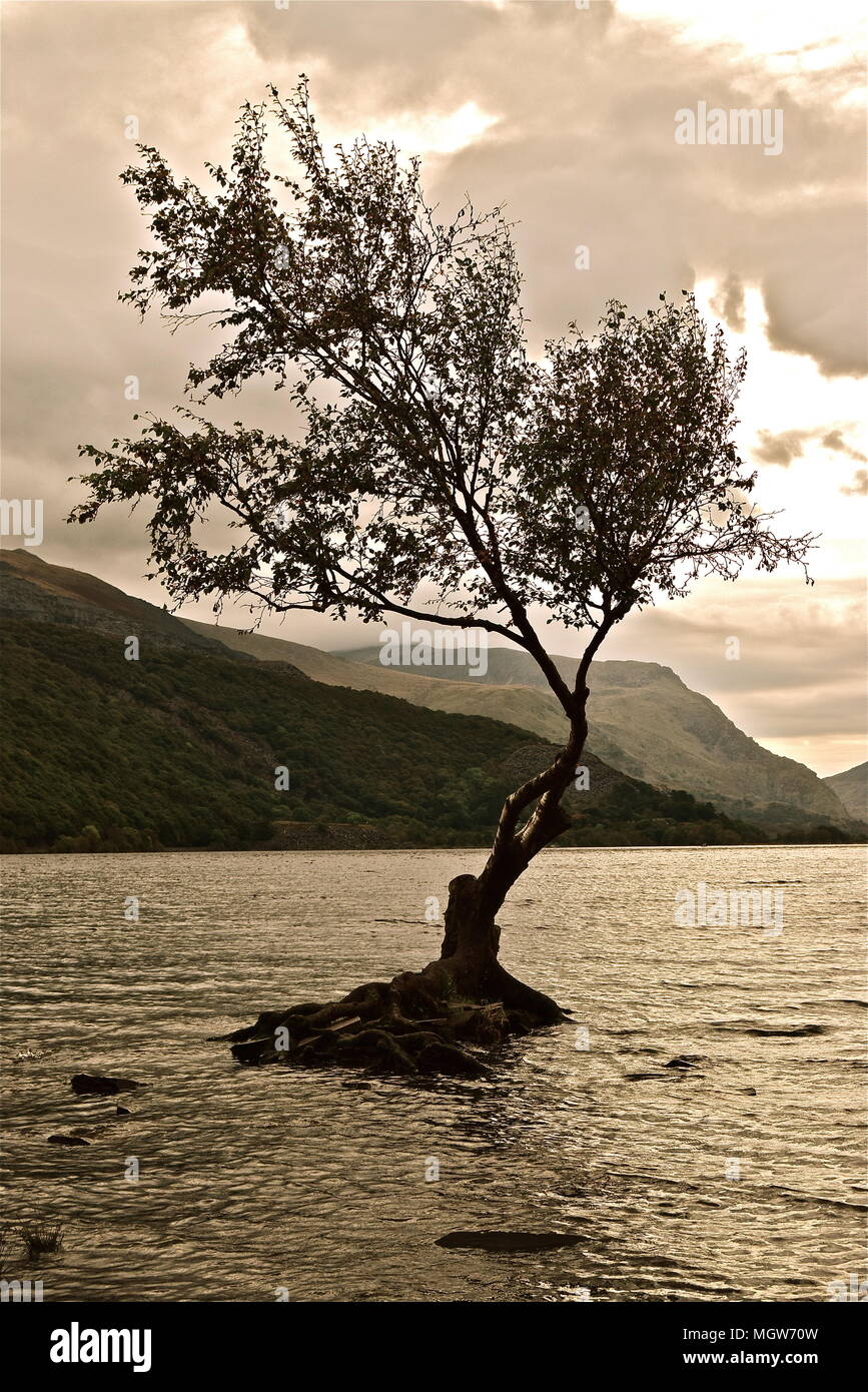 Lone image hi-res stock photography and images - Alamy