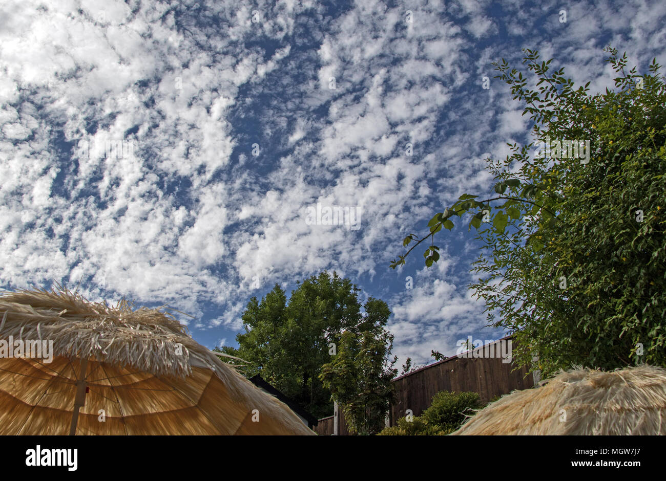 Hextable hi-res stock photography and images - Alamy