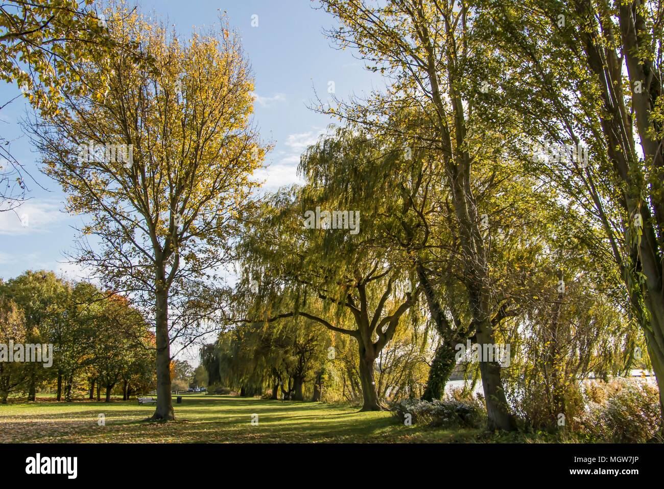 Danson park hi-res stock photography and images - Alamy