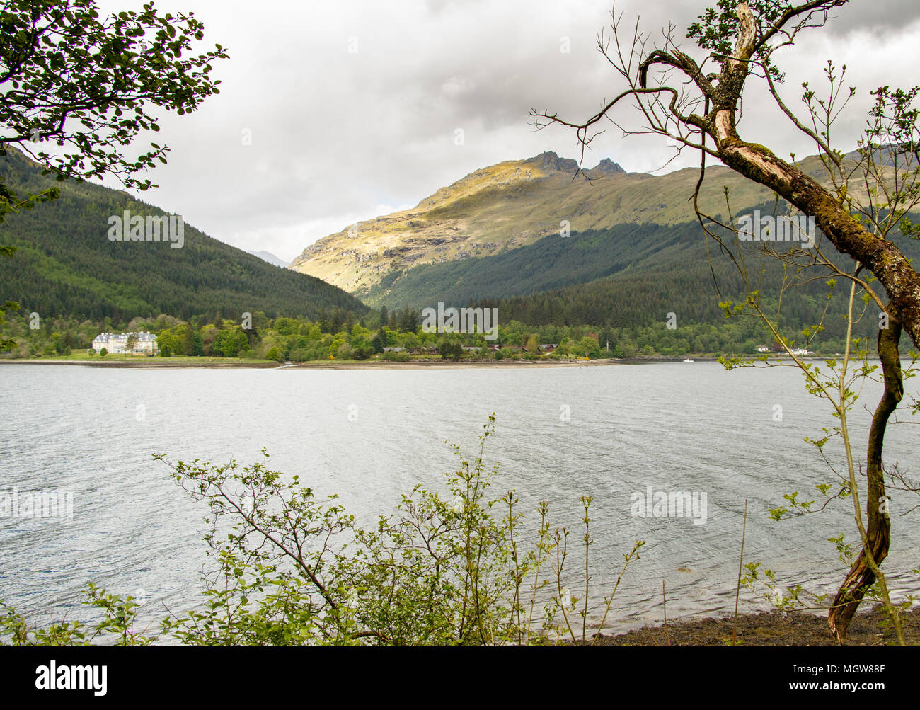 Scotland - Loch Long Stock Photo - Alamy