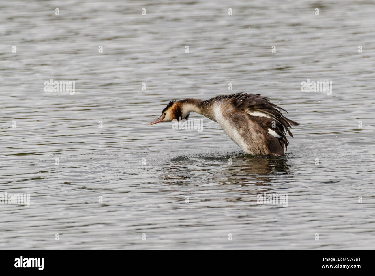 Sevenoaks Wildlife Reserve Stock Photo - Alamy