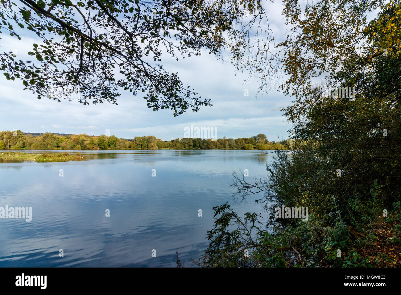 Sevenoaks Wildlife Reserve Stock Photo - Alamy