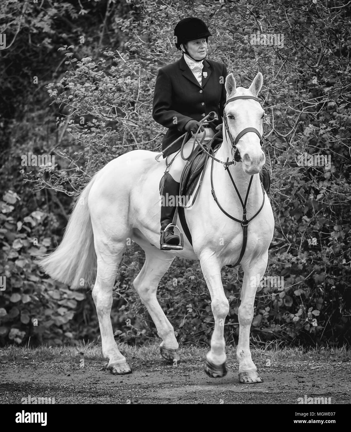 Woman riding a jumping horse Black and White Stock Photos & Images - Alamy