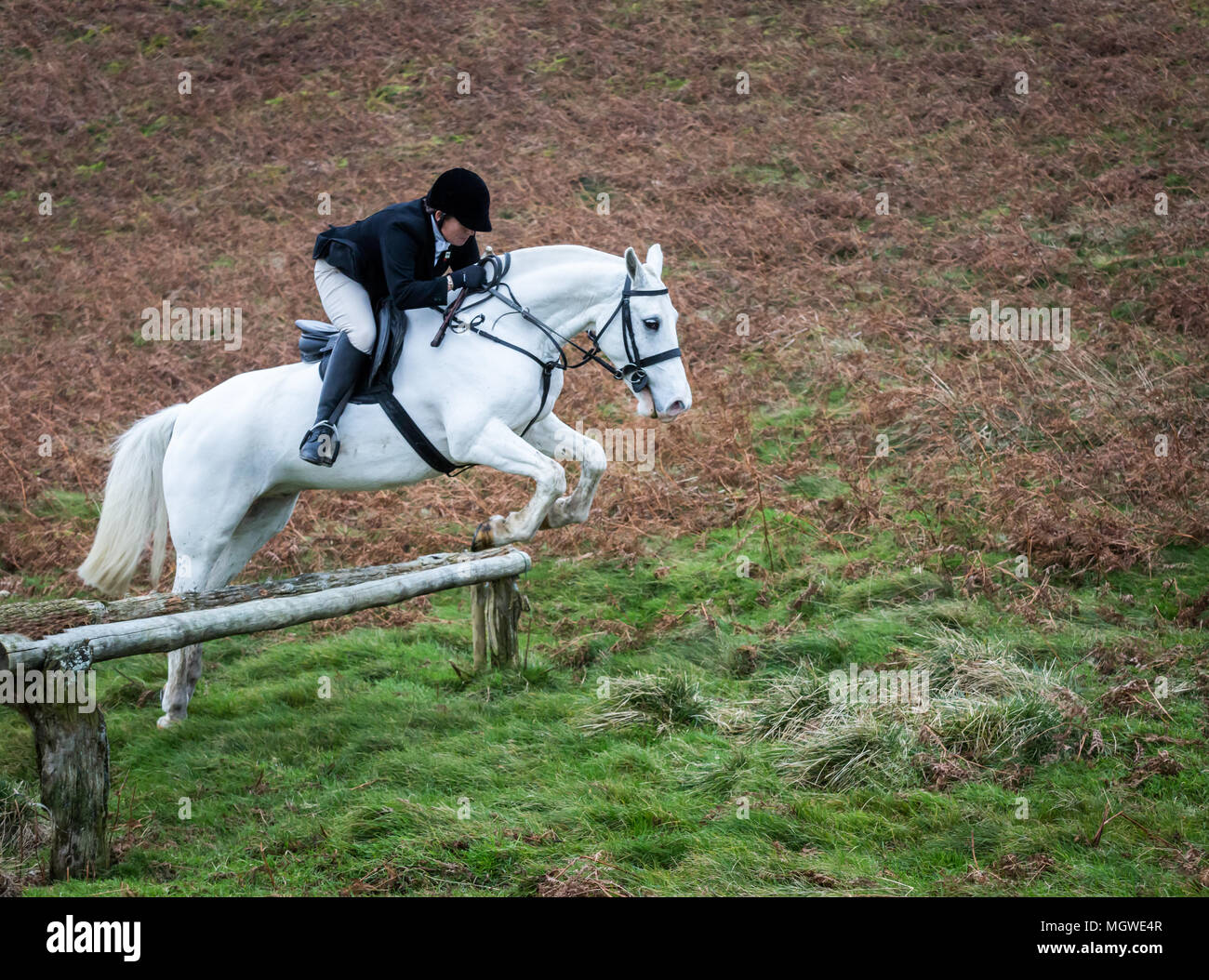 people riding horses Stock Photo - Alamy