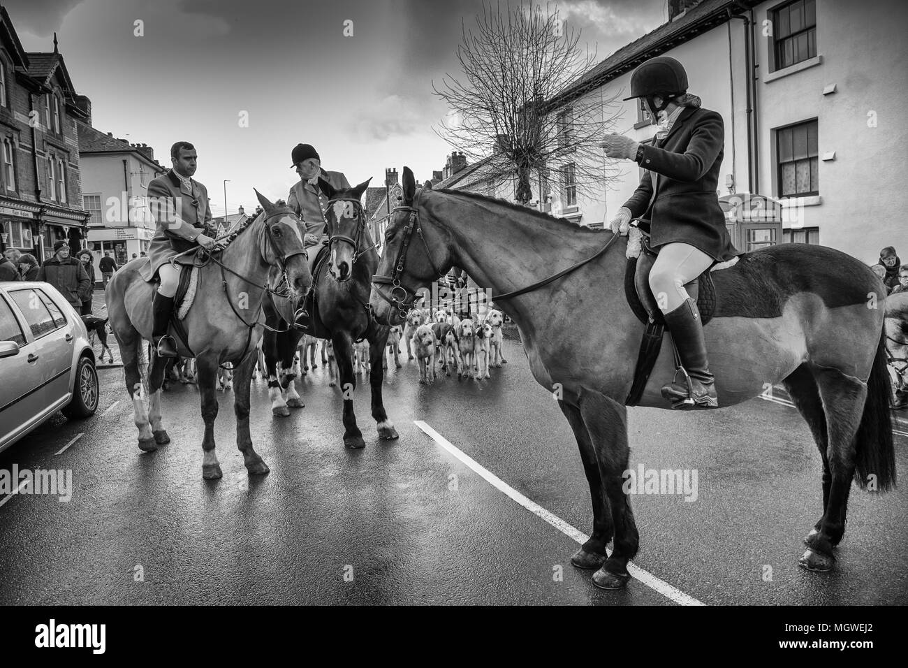 Happy horse riders hi-res stock photography and images - Alamy
