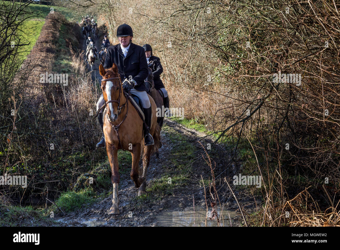 people riding horses Stock Photo - Alamy
