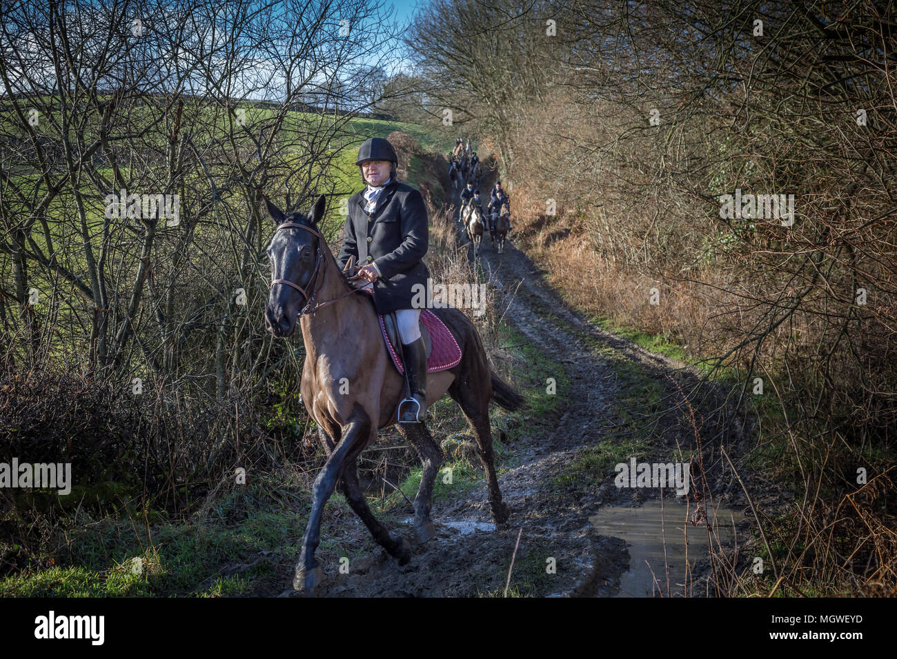 people riding horses Stock Photo - Alamy