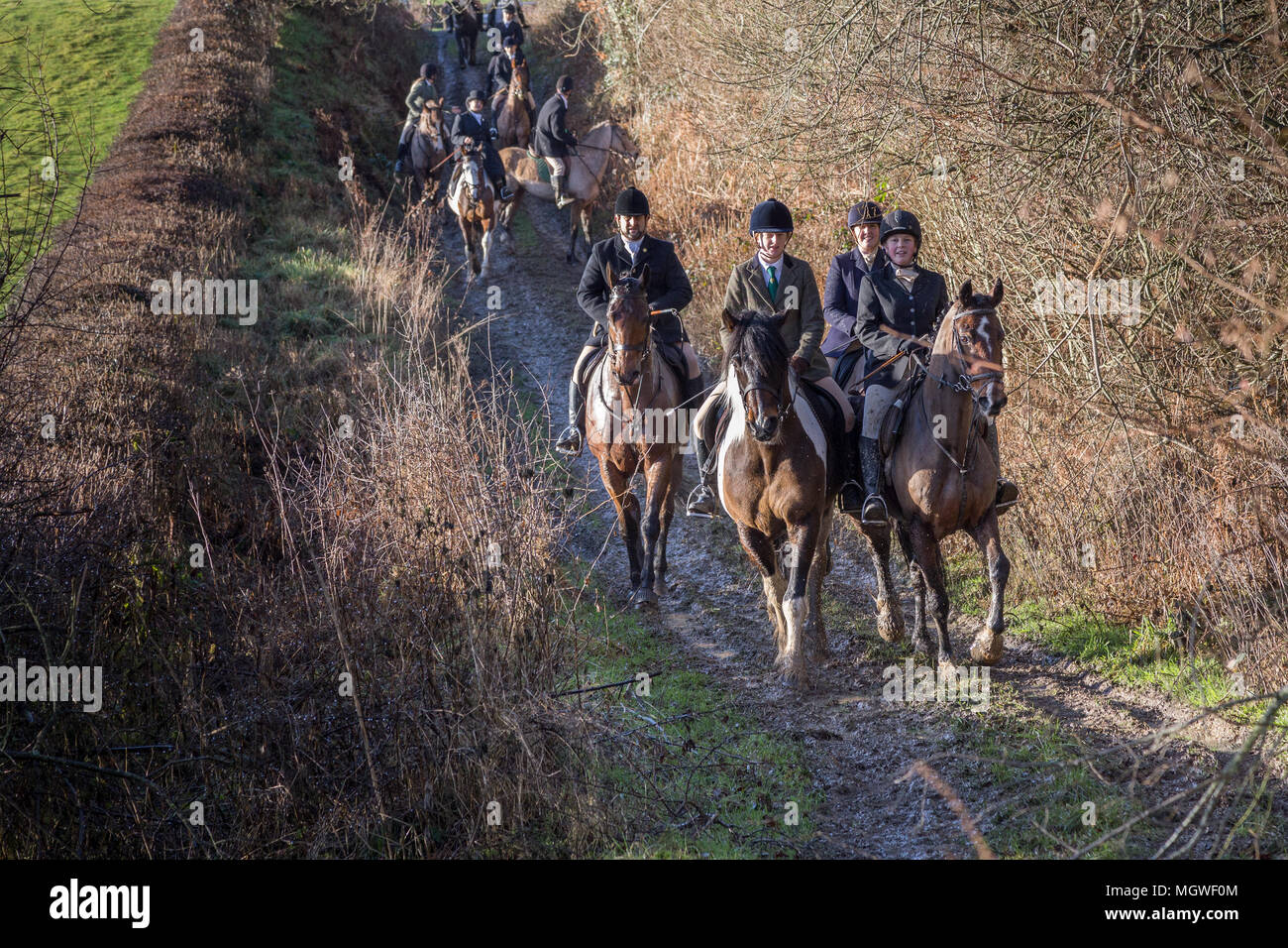 people riding horses Stock Photo - Alamy