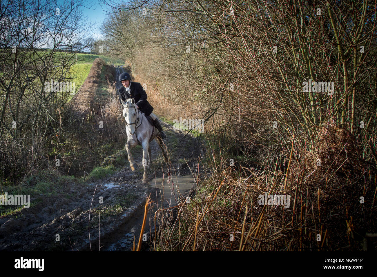 Riding to hounds hi-res stock photography and images - Alamy