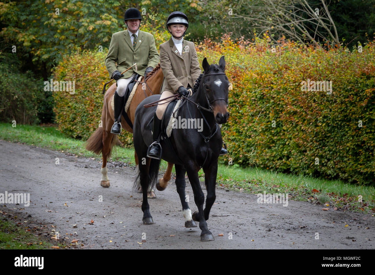 people riding horses Stock Photo - Alamy