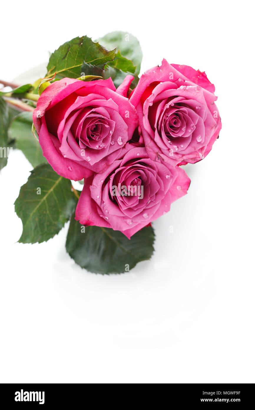 Bouquet soft pink roses Cut Out Stock Images & Pictures - Alamy
