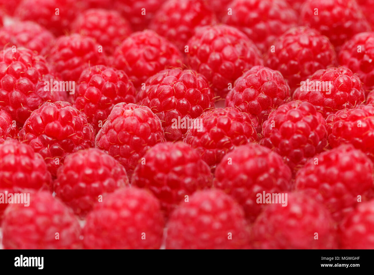 many raspberry berries isolated on white Stock Photo - Alamy