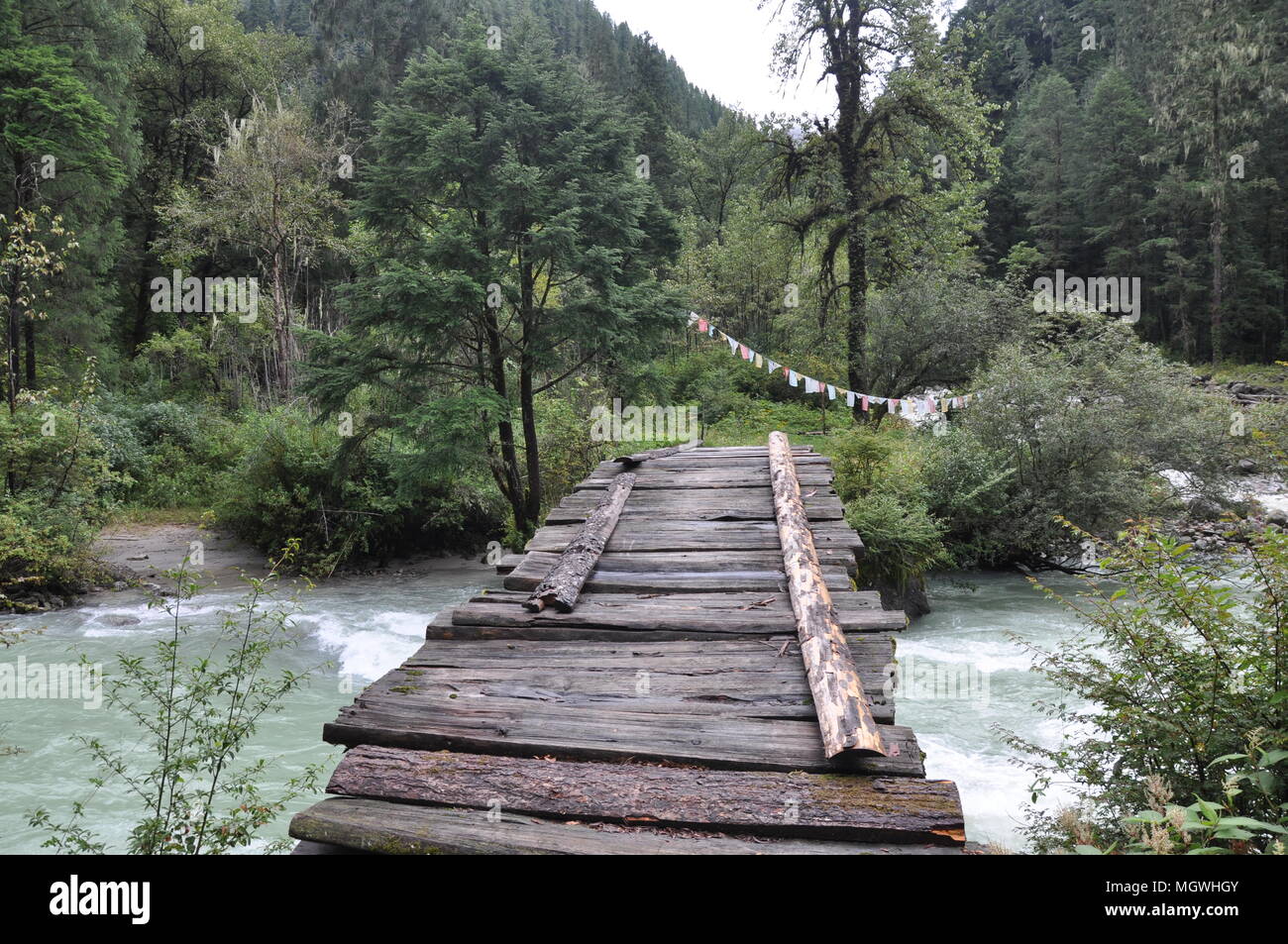 Man made wooden bridge hi-res stock photography and images - Alamy