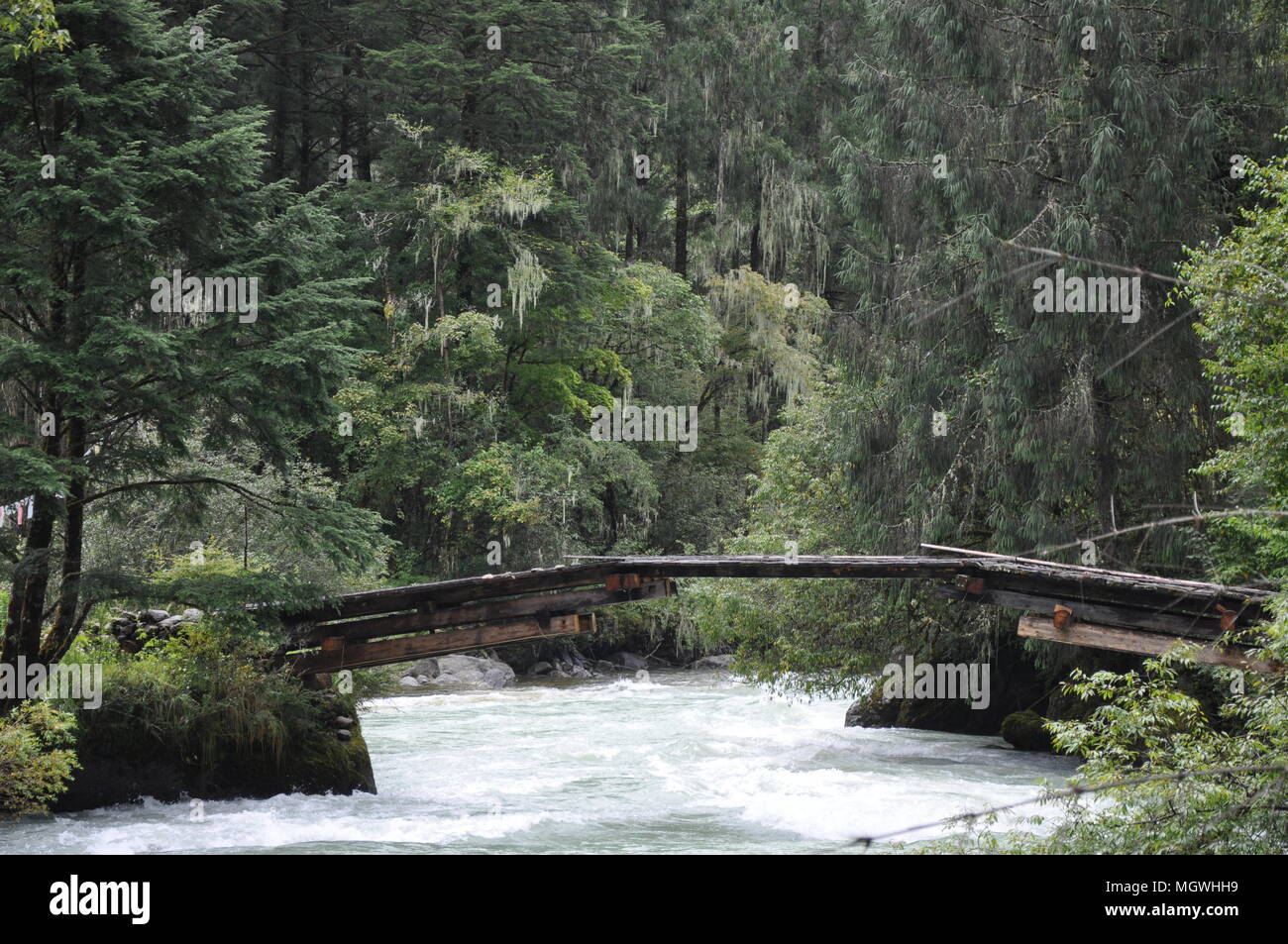 Man made wooden bridge hi-res stock photography and images - Alamy