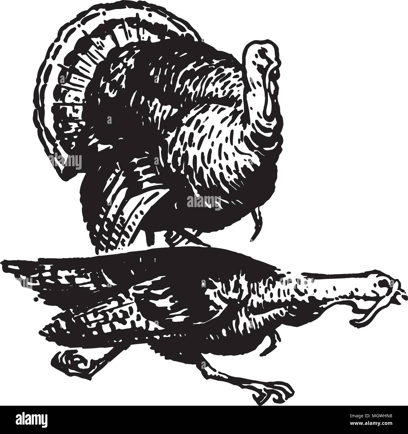 Two Turkeys - Retro Clipart Illustration Stock Vector Image & Art - Alamy