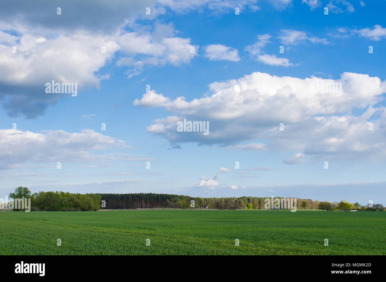 Sunny spring sky with clouds hi-res stock photography and images - Alamy