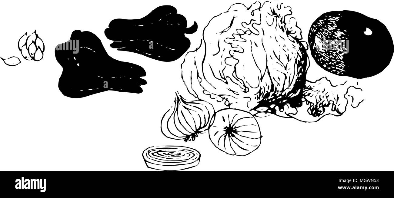 Vegetables illustration vintage Black and White Stock Photos & Images ...