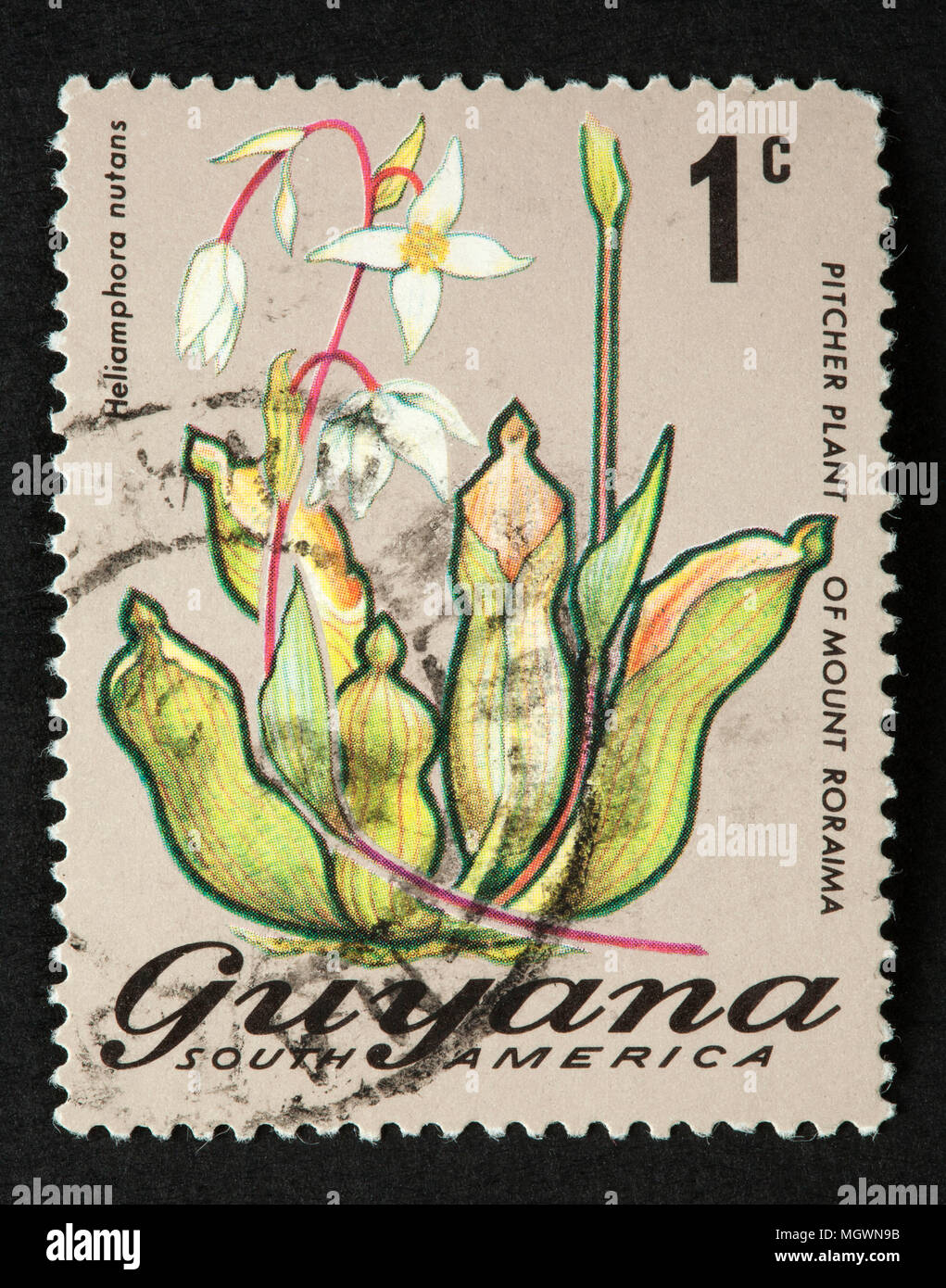 Guyana postage stamp Stock Photo - Alamy