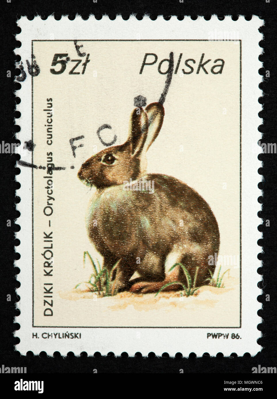Close up letter polish stamp hi-res stock photography and images - Alamy