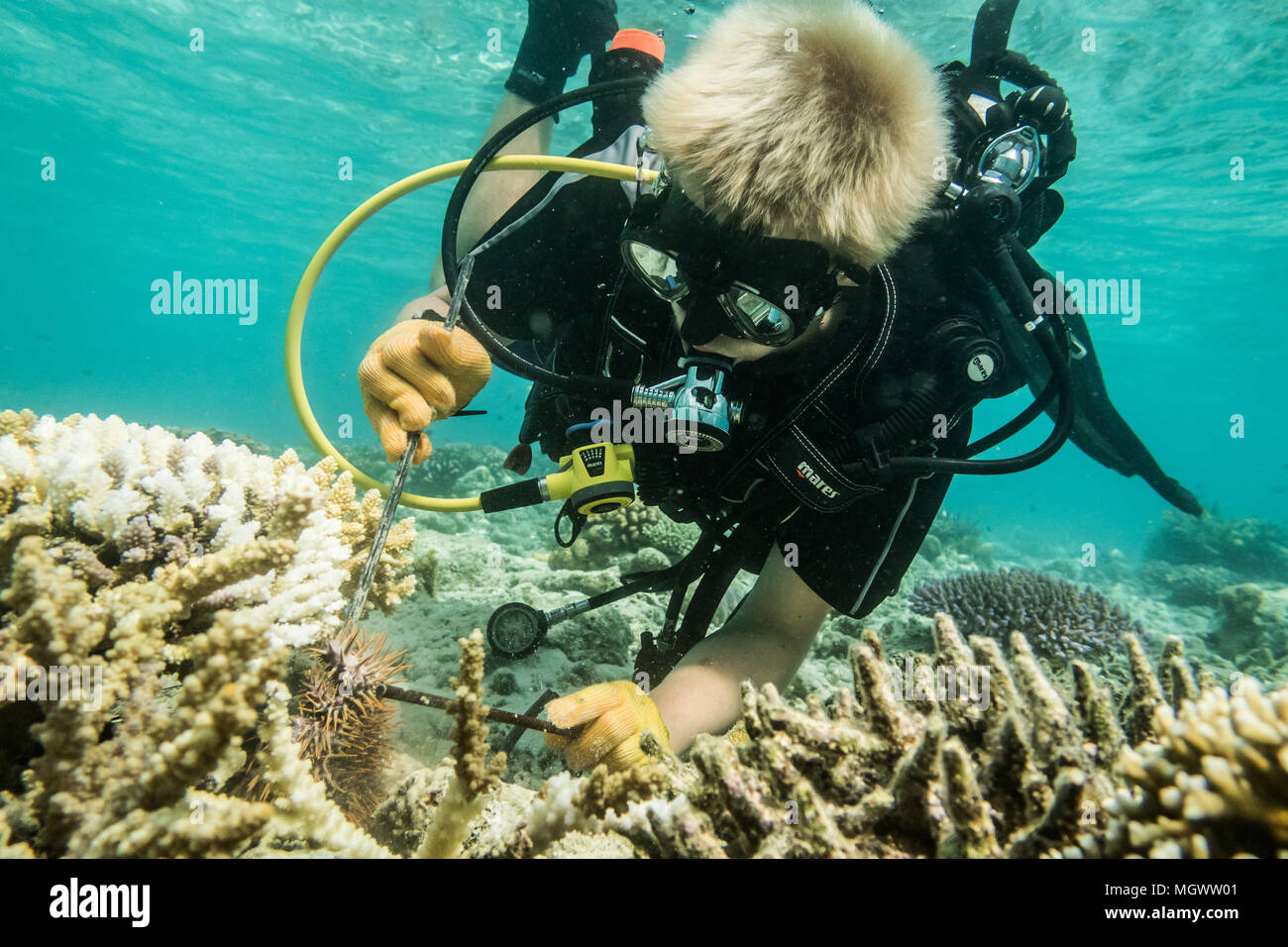 Reef conservation hi-res stock photography and images - Alamy
