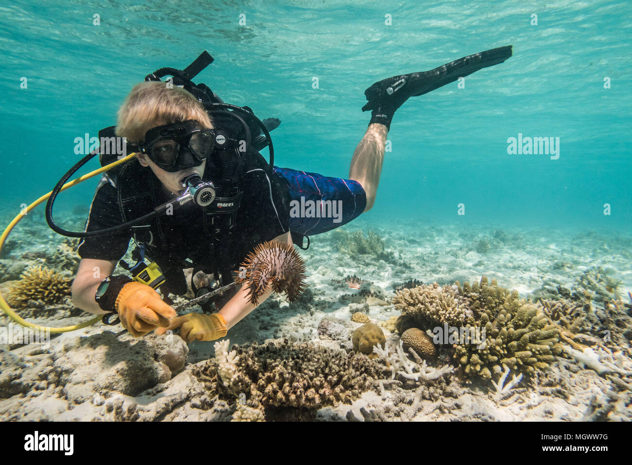 A volunteer at the Tropical Research And Conservation Center works on ...