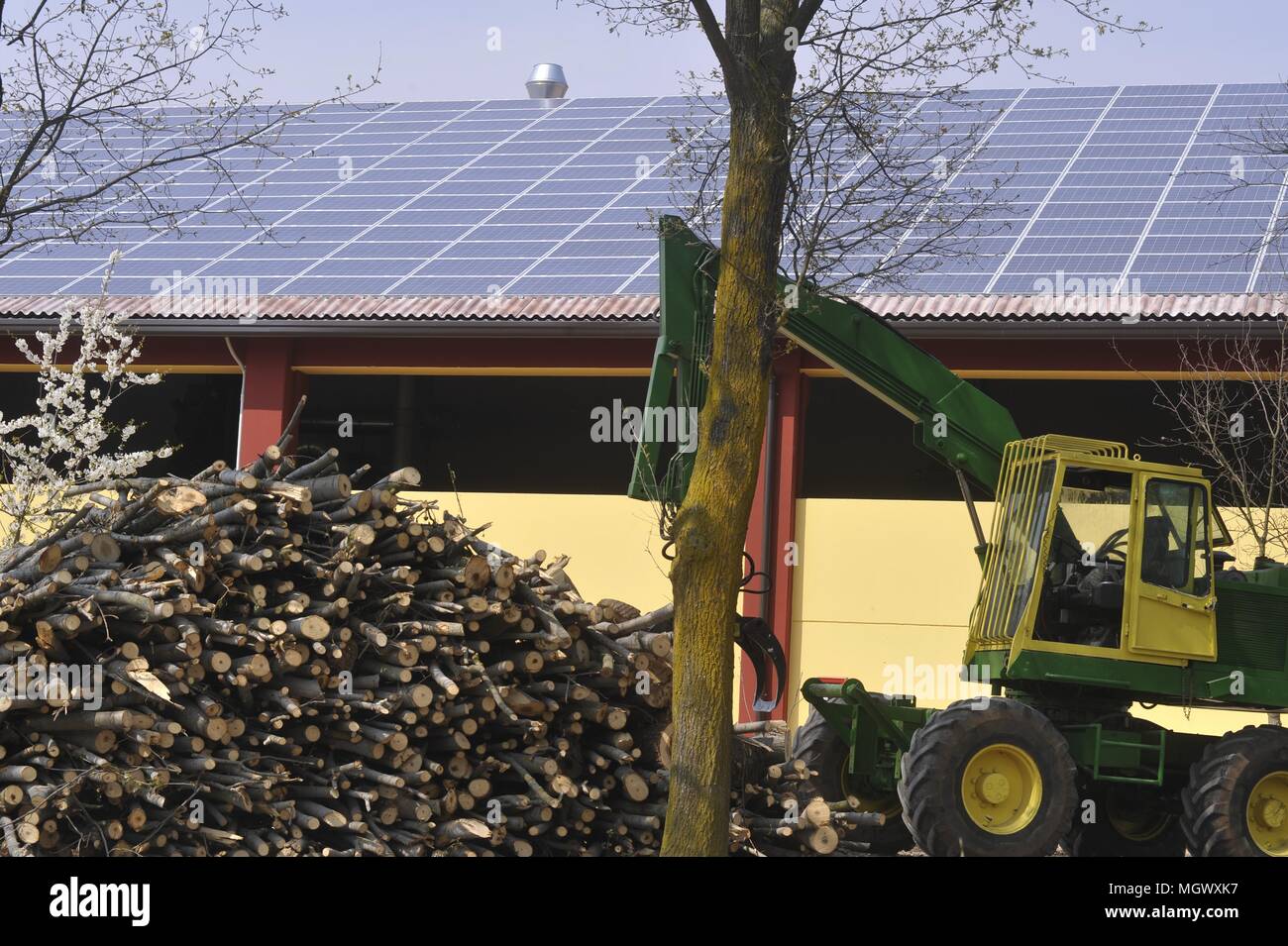Plant for exploitation of biomass (wood waste) to produce electricity ...