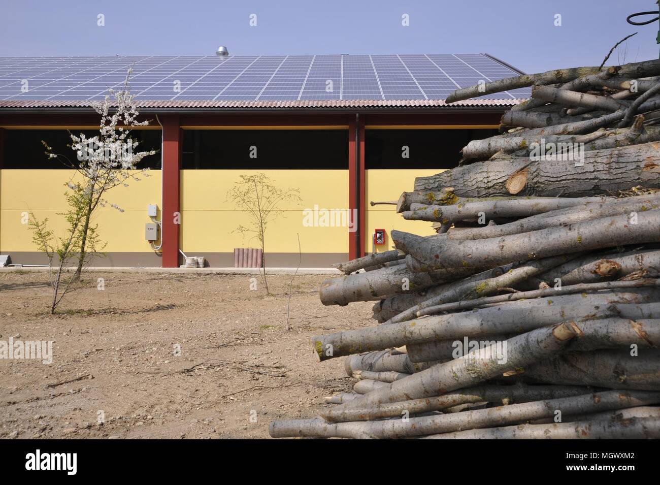 Plant for exploitation of biomass (wood waste) to produce electricity ...