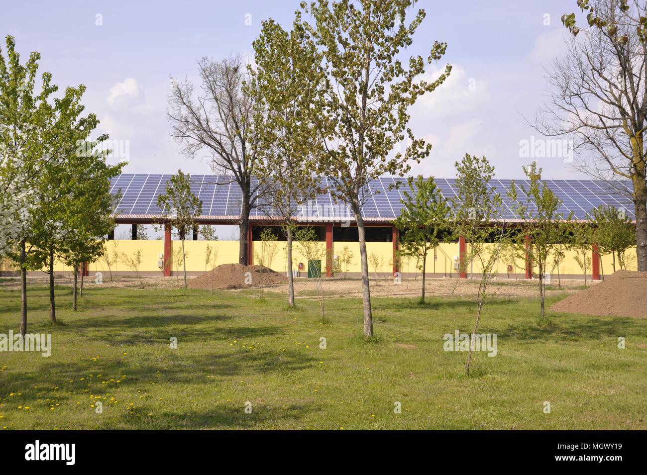 Plant for exploitation of biomass (wood waste) to produce electricity ...