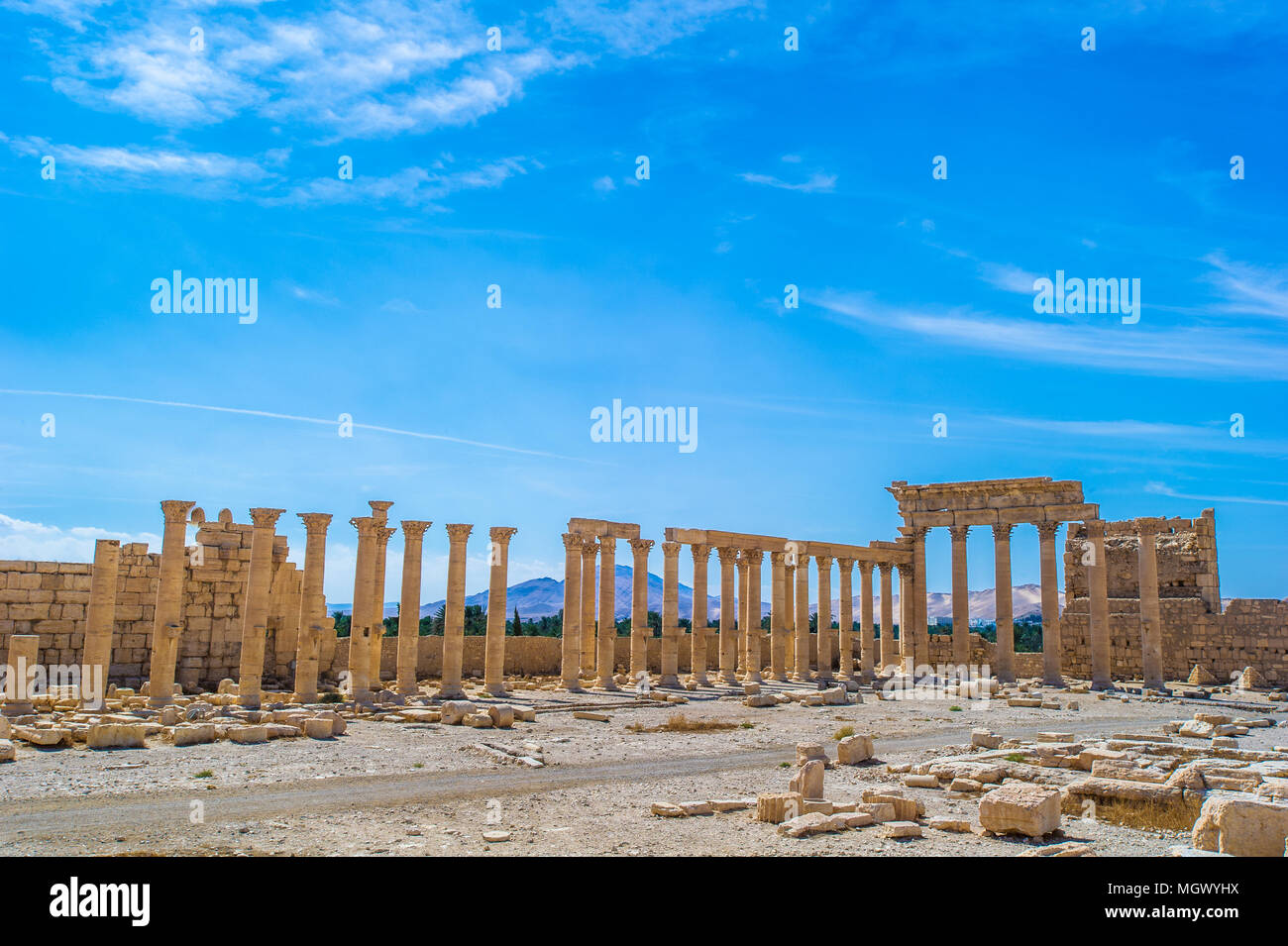The Great Colonnade at Palmyra, the main colonnaded avenue in the ...