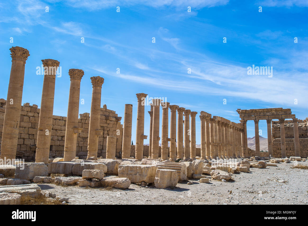 The Great Colonnade at Palmyra, the main colonnaded avenue in the ...