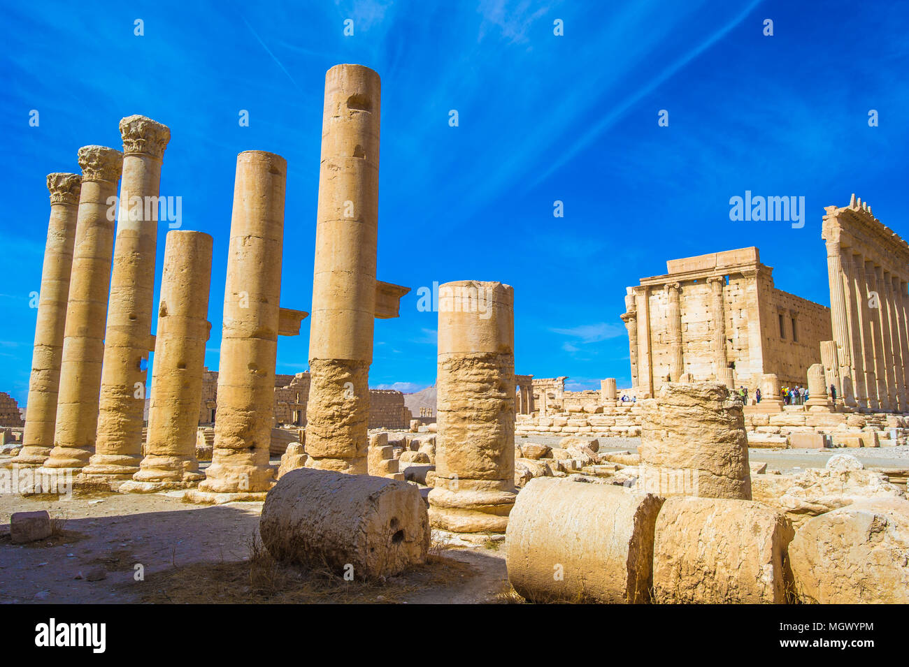 Columns in Palmyra, Syria. UNESCO World Heritage Site Stock Photo - Alamy