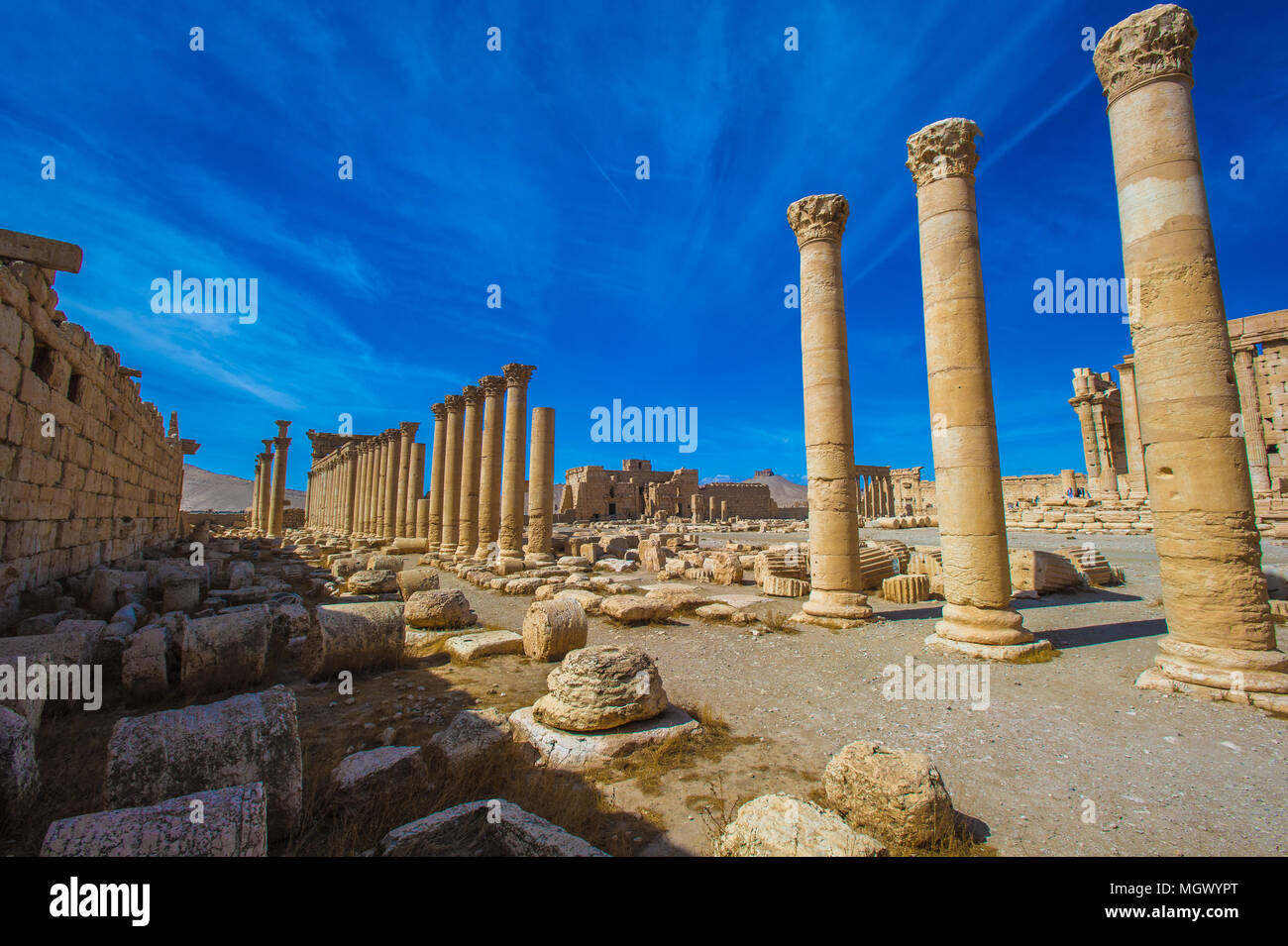 Columns in Palmyra, Syria. UNESCO World Heritage Site Stock Photo - Alamy