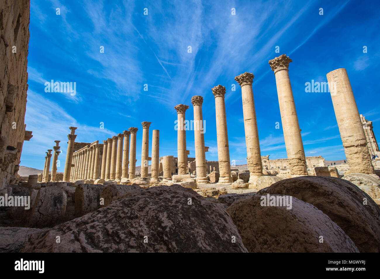 Great Colonnade at Palmyra was the main colonnaded avenue in the ...