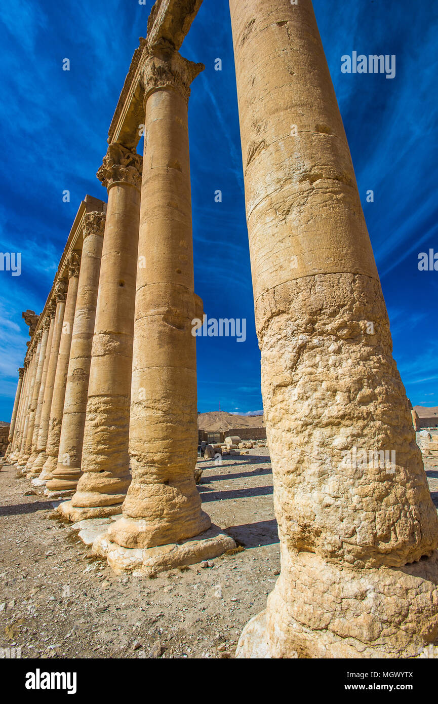 Great Colonnade at Palmyra was the main colonnaded avenue in the ...
