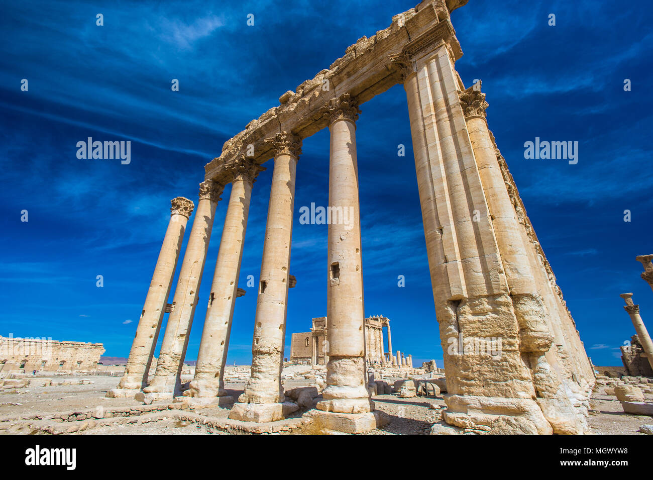 Great Colonnade at Palmyra, Syrian Desert. UNESCO World Heritage Site ...
