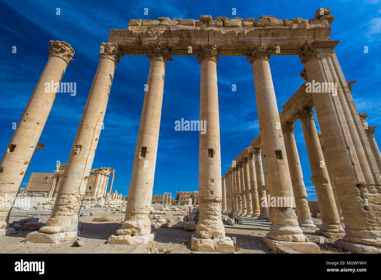 Great Colonnade at Palmyra, Syrian Desert. UNESCO World Heritage Site ...
