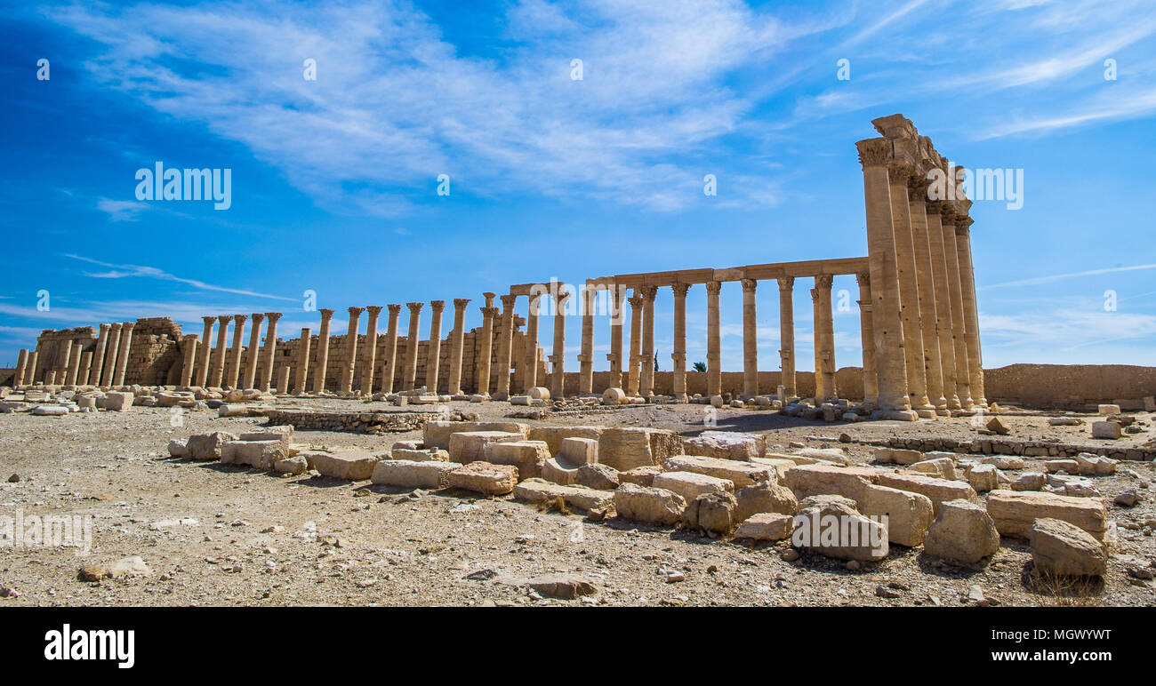 Great Colonnade at Palmyra, Syrian Desert. UNESCO World Heritage Site ...