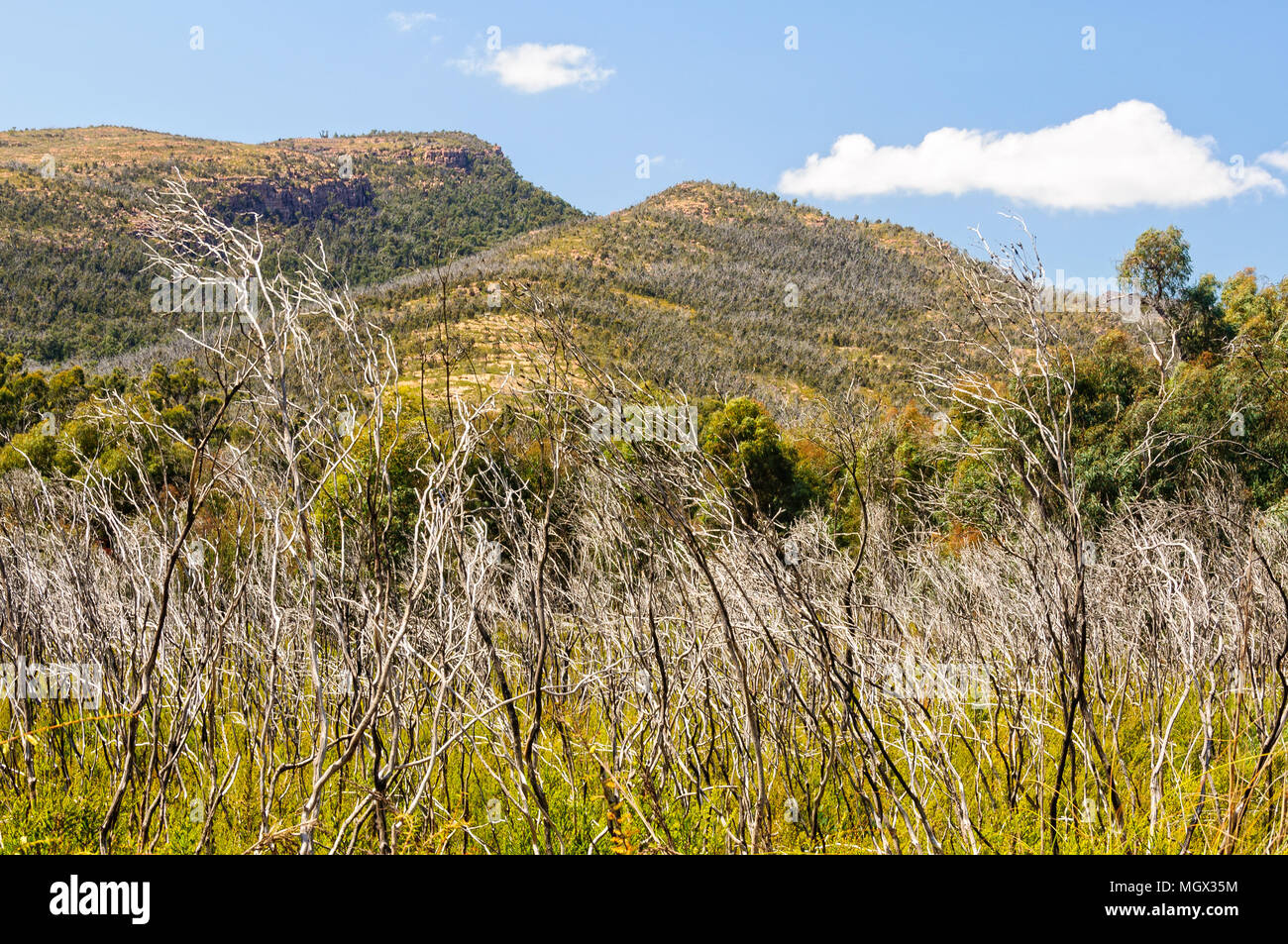 The heavily eroded Mount William in the Grampians National Park - Halls ...