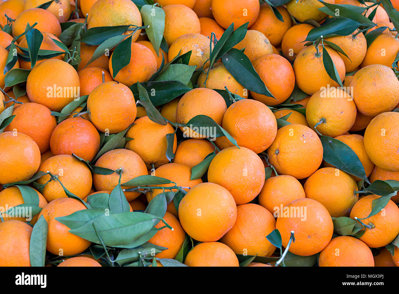 Oranges on a Turkish farmers market Stock Photo - Alamy