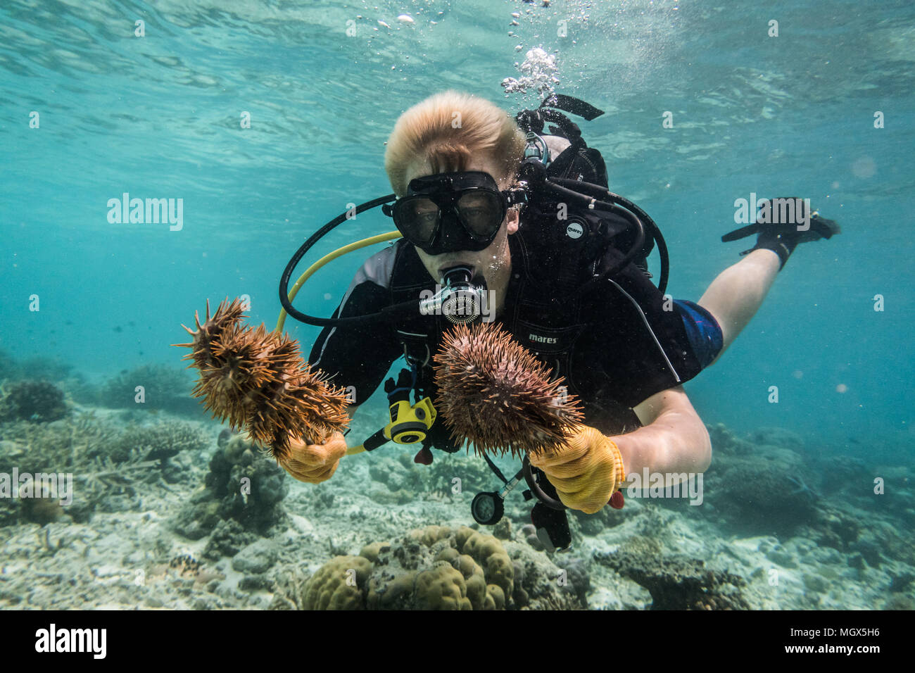 A volunteer at the Tropical Research And Conservation Center works on ...
