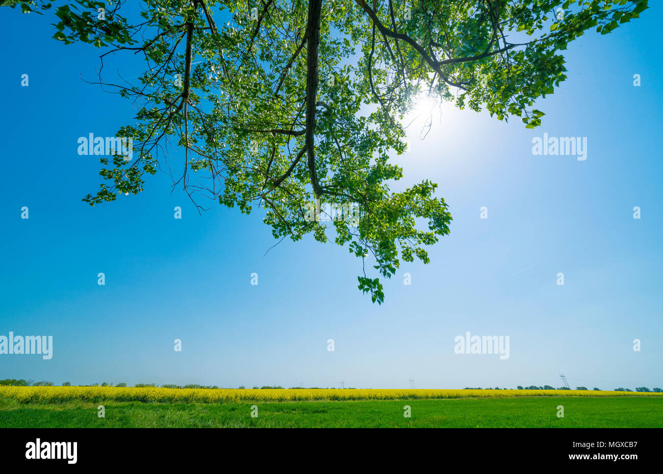 Interior of the contemporary part of the newly renovated Varkert bazar (Castle garden bazaar ...