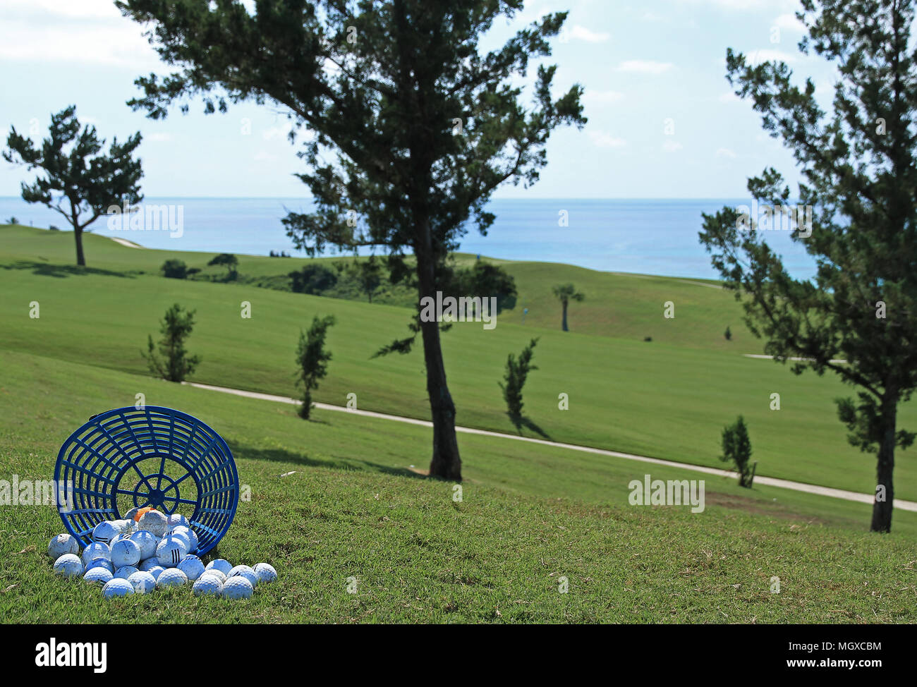 Bermuda grass hi-res stock photography and images - Alamy