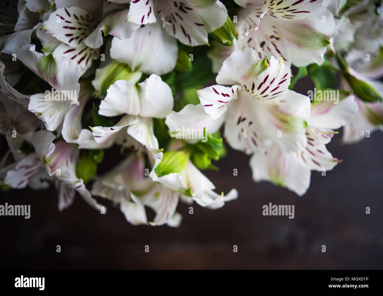 White Lily of the Incas in a bunch on rustic background with copyspace ...