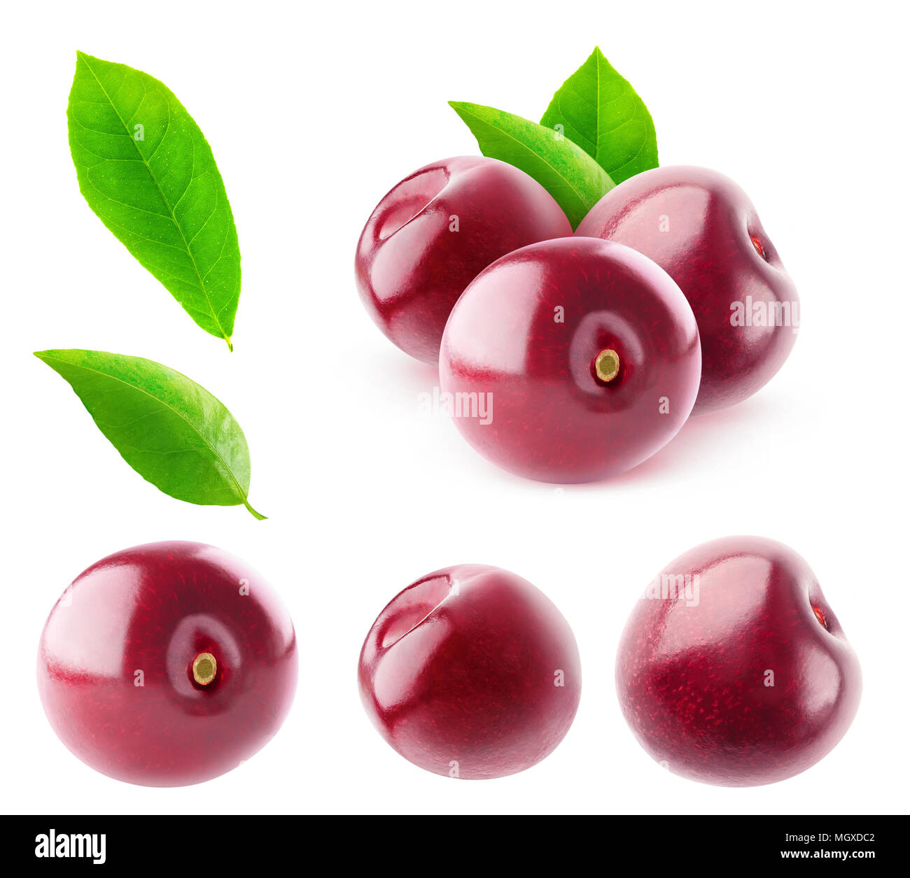 Isolated sweet cherries. Collection of cherry fruits without stems ... Isolated sweet cherries. Collection of cherry fruits without stems ...