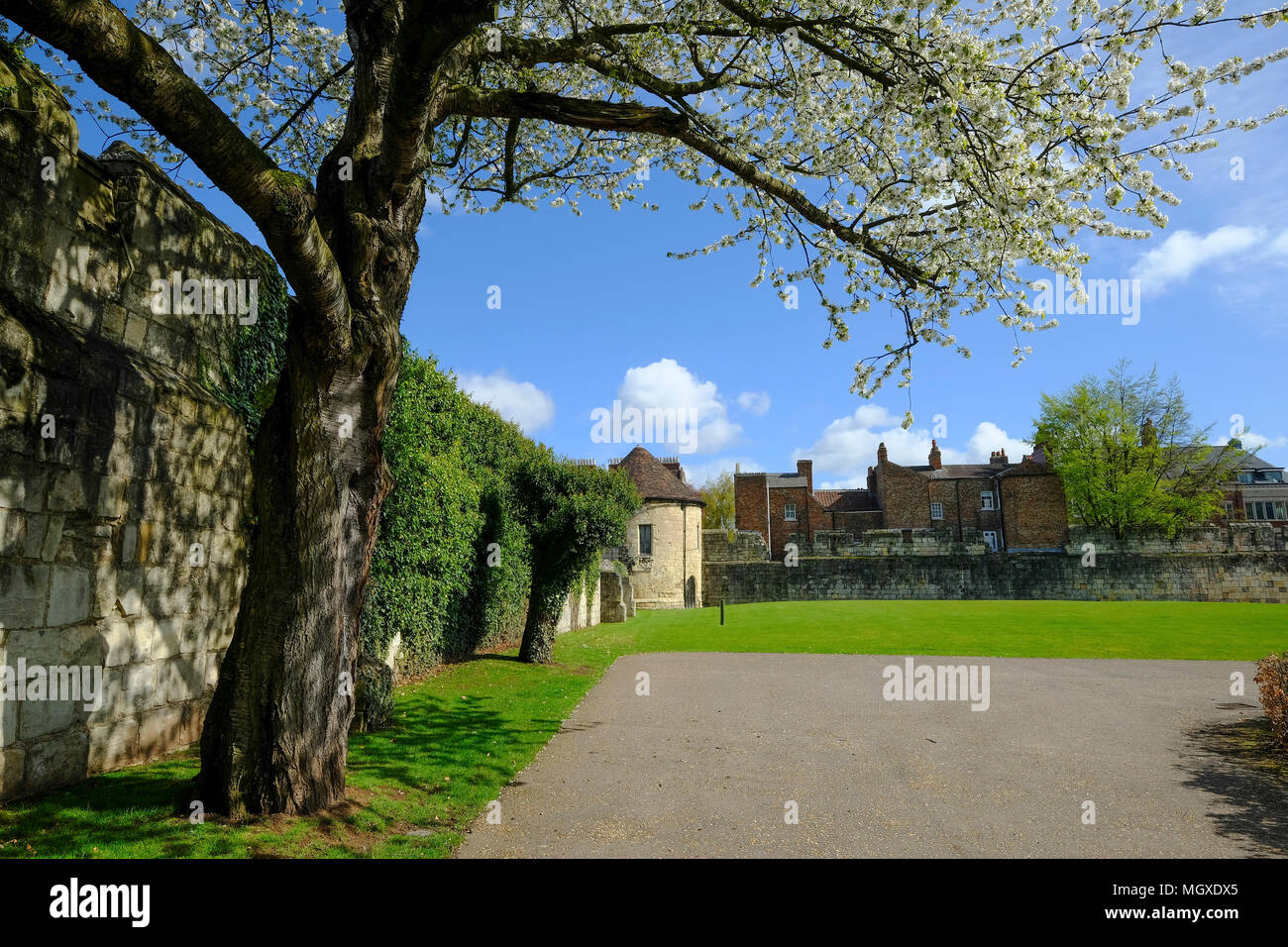 York Museum Gardens in Spring Stock Photo - Alamy