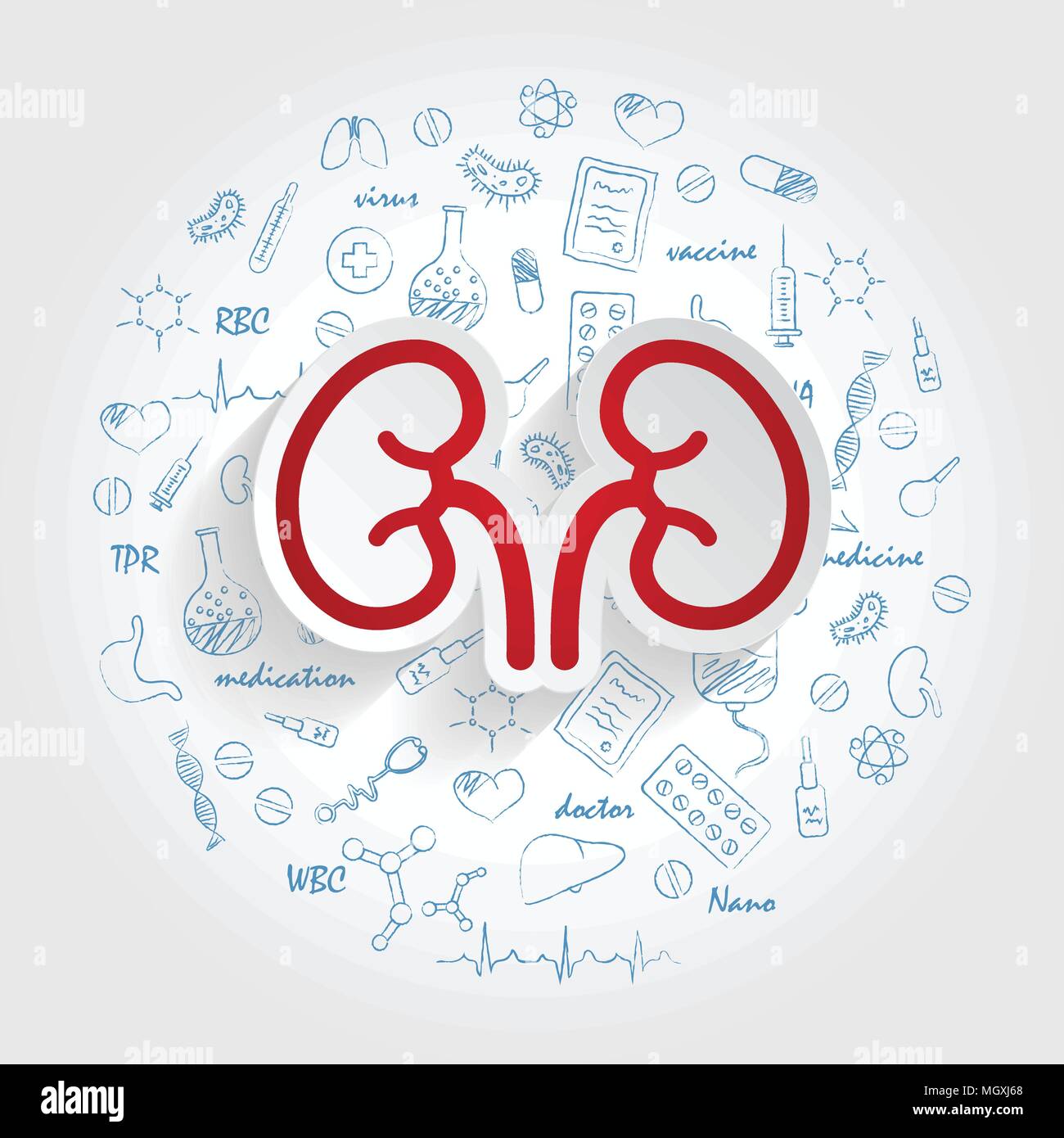 Organillustration hi-res stock photography and images - Alamy