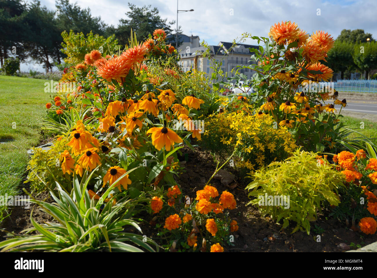 Flower bed in a city garden of Limoges, France Stock Photo - Alamy