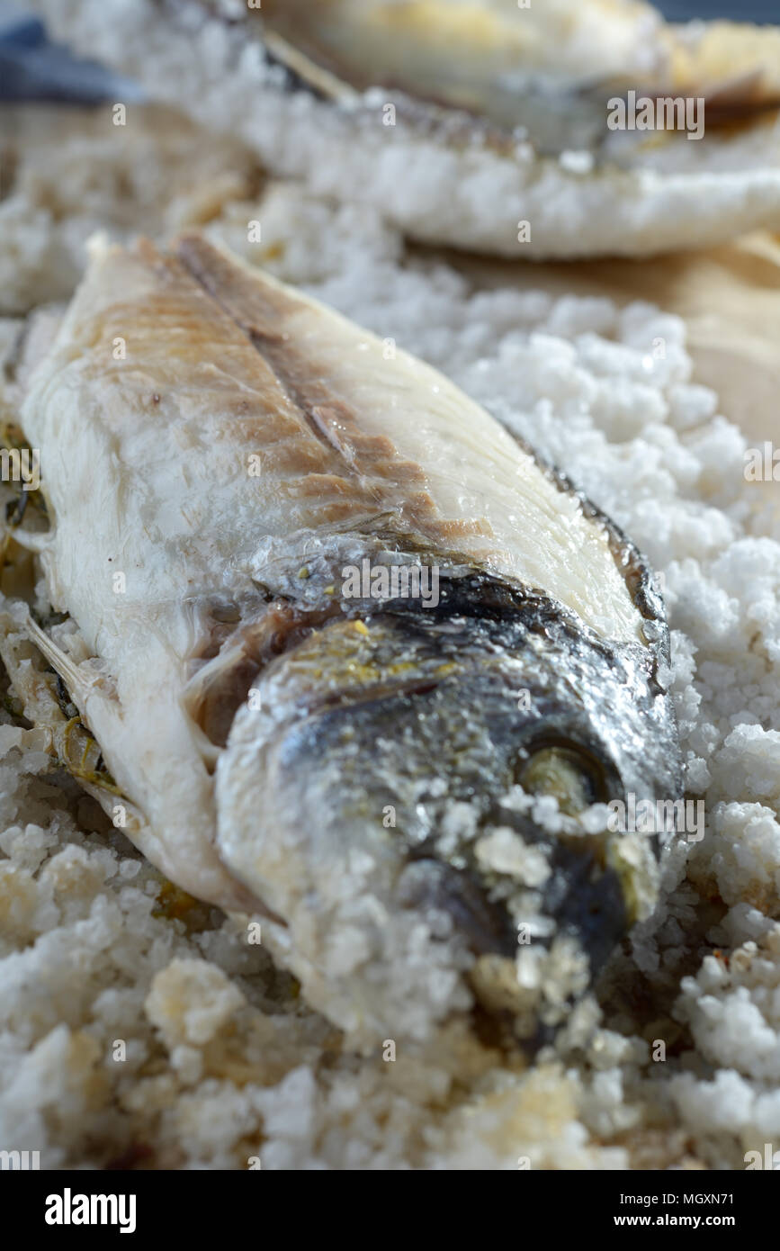 Dorada bream salt hi-res stock photography and images - Alamy